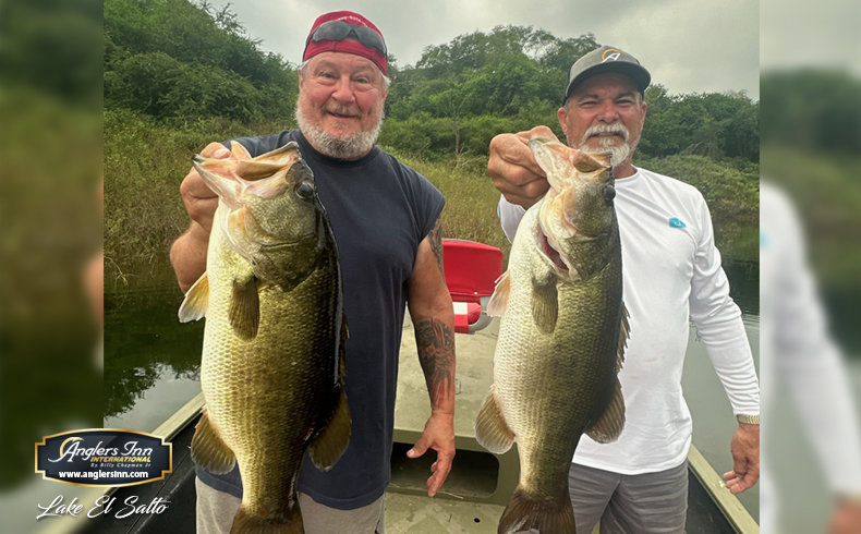 Lake El Salto, Lake Picachos, The Amazon and Crystal River: November ...